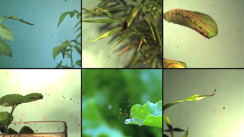 How are droplets related to disease transmission? | Share My Lesson