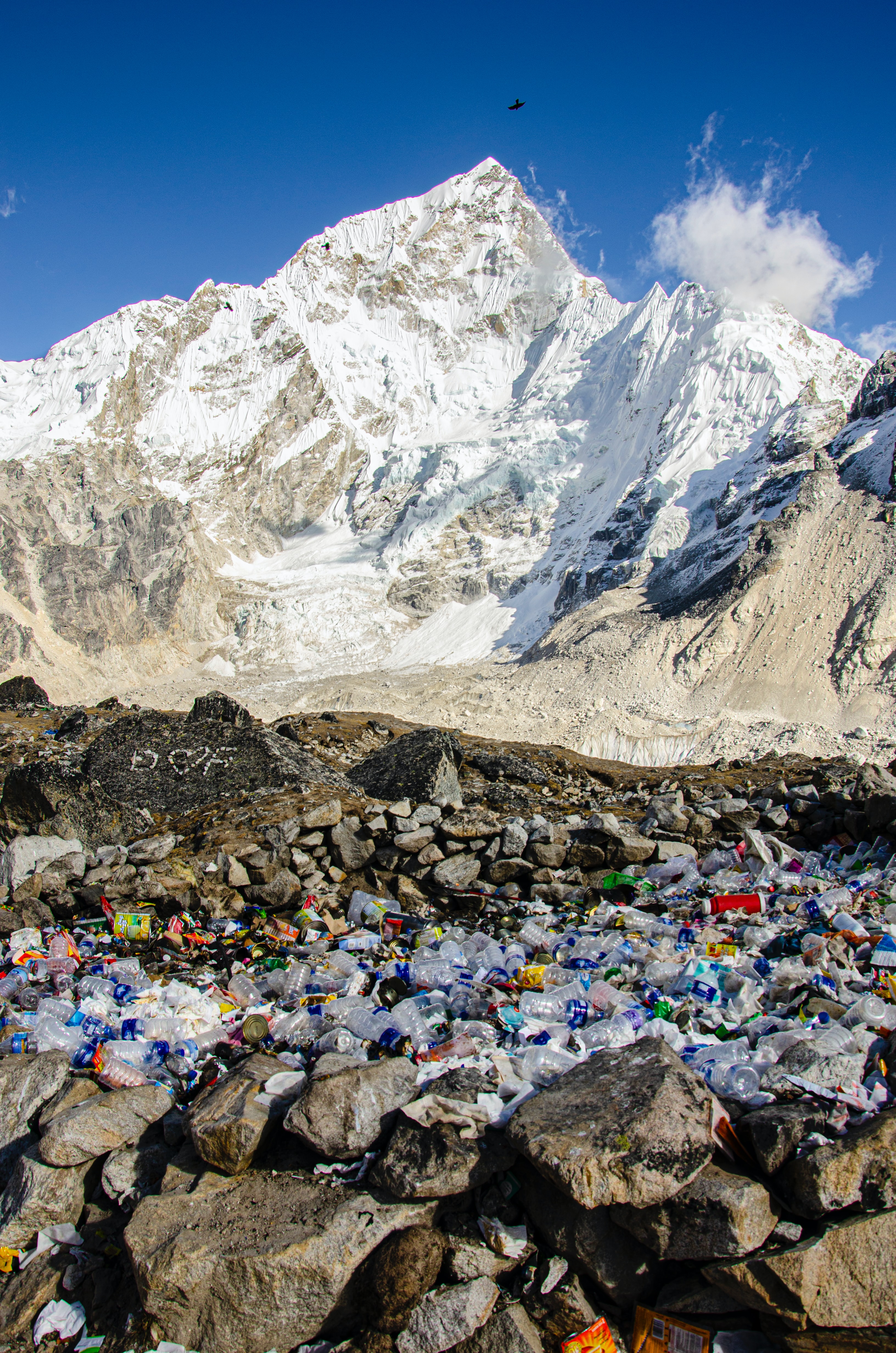 Science & Art: Plastic Pollution Around the World | Lesson Plan