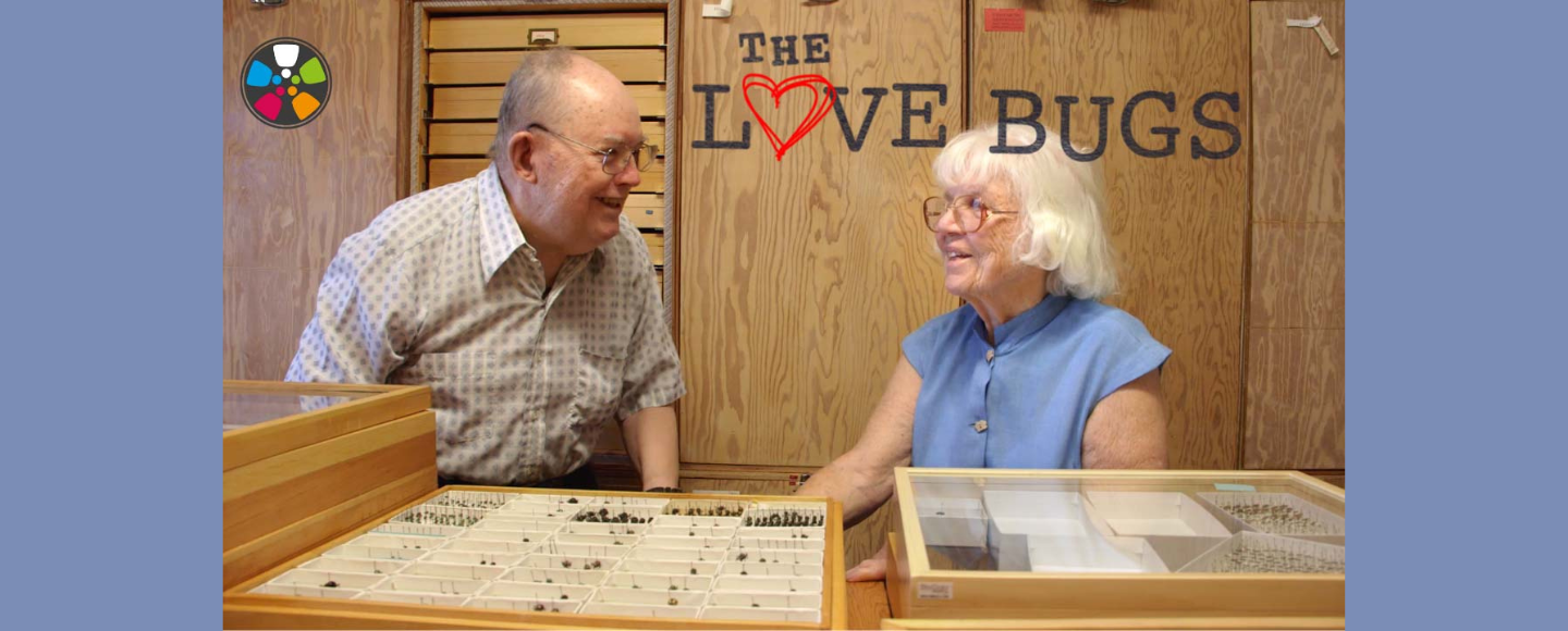 Explore Nature and SEL with The Love Bugs Short Film | Blog | Share My ...