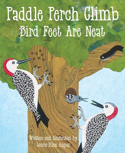 Paddle Perch Climb activity | Lesson Plan