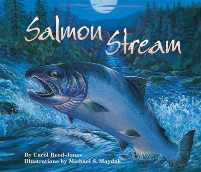 Salmon Stream Activity | Lesson Plan