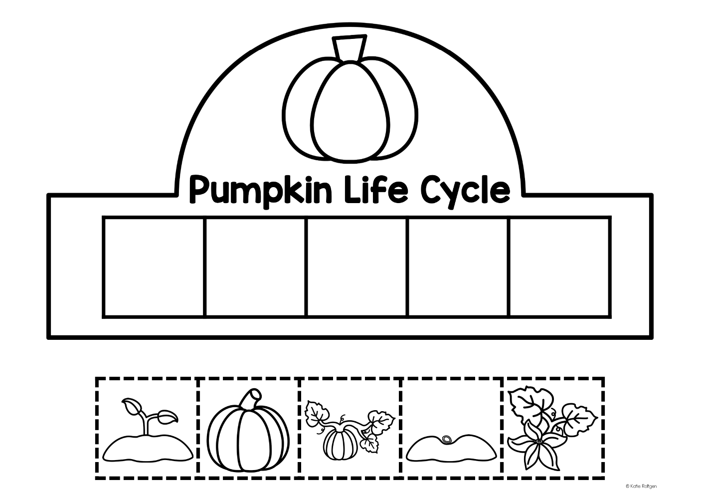 The Pumpkin Life Cycle | Lesson Plan