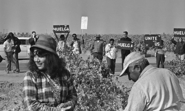 The Movement Is the Hero: Farmworkers' Rights, Survivors, and What ...