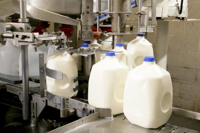 Discover Dairy & Milk Safety | Lesson Plan