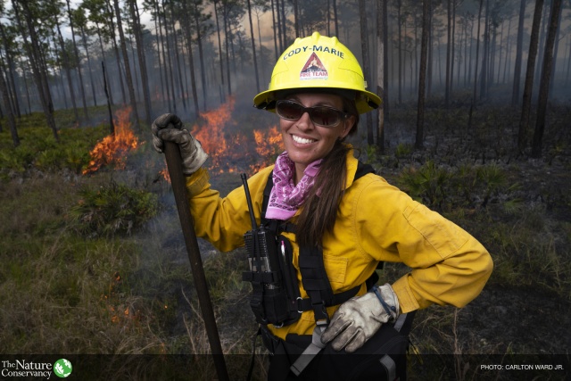 Fighting Fire with Fire | Lesson Plan